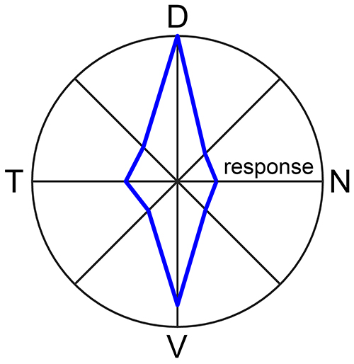 Retinal orientation selectivity - Shai Sabbah Laboratory | Brain research